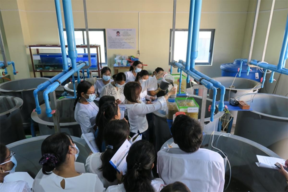 ဝန်ကြီးဌာန ၂ ခုမှ စက်မှု၊ စိုက်ပျိုးရေးနှင့် မွေးမြူရေးပညာရပ်များ တ